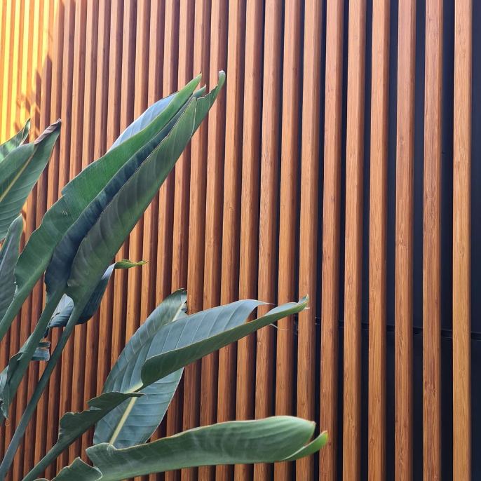 Bambu | Coloril Revestimentos Naturais